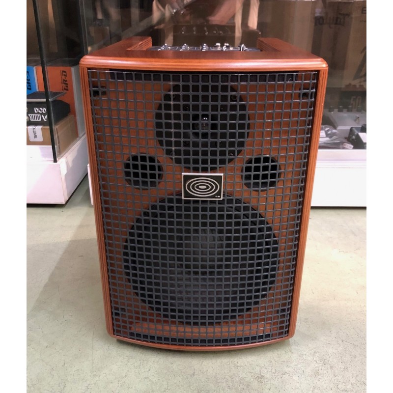 SCHERTLER JAM 150 PLUS COMBO - WOOD