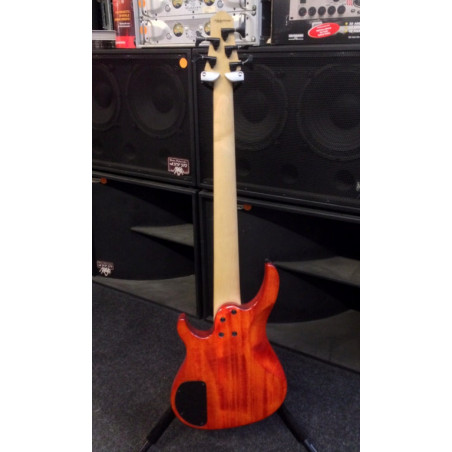 CRAFTER CONGRESS 5 FM - AMBER BURST