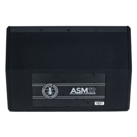 ANT ASM12 MONITOR ATTIVO 12"