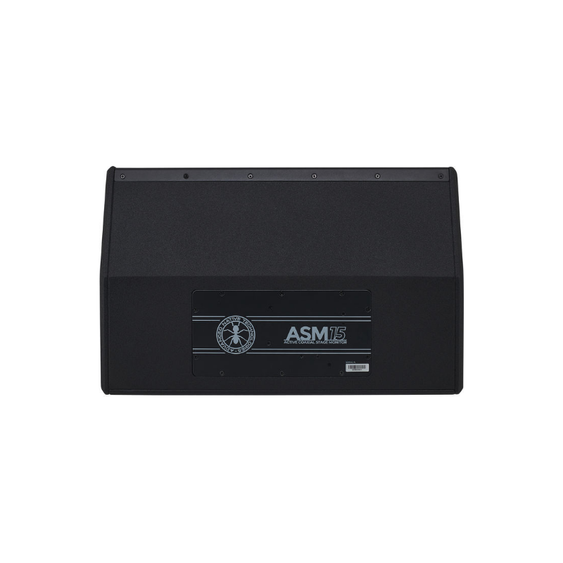 ANT ASM15 MONITOR ATTIVO 15"