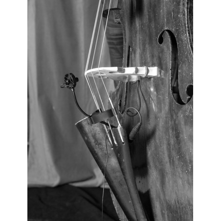 PRODIPE BL21 LANEN MICROFONO PER CONTRABBASSO