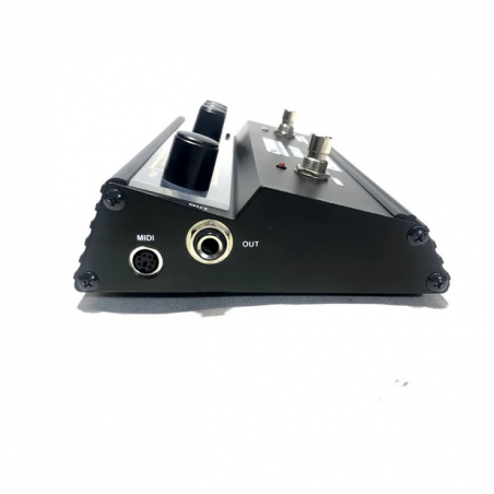 ROCKTRON CYBORG DELAY